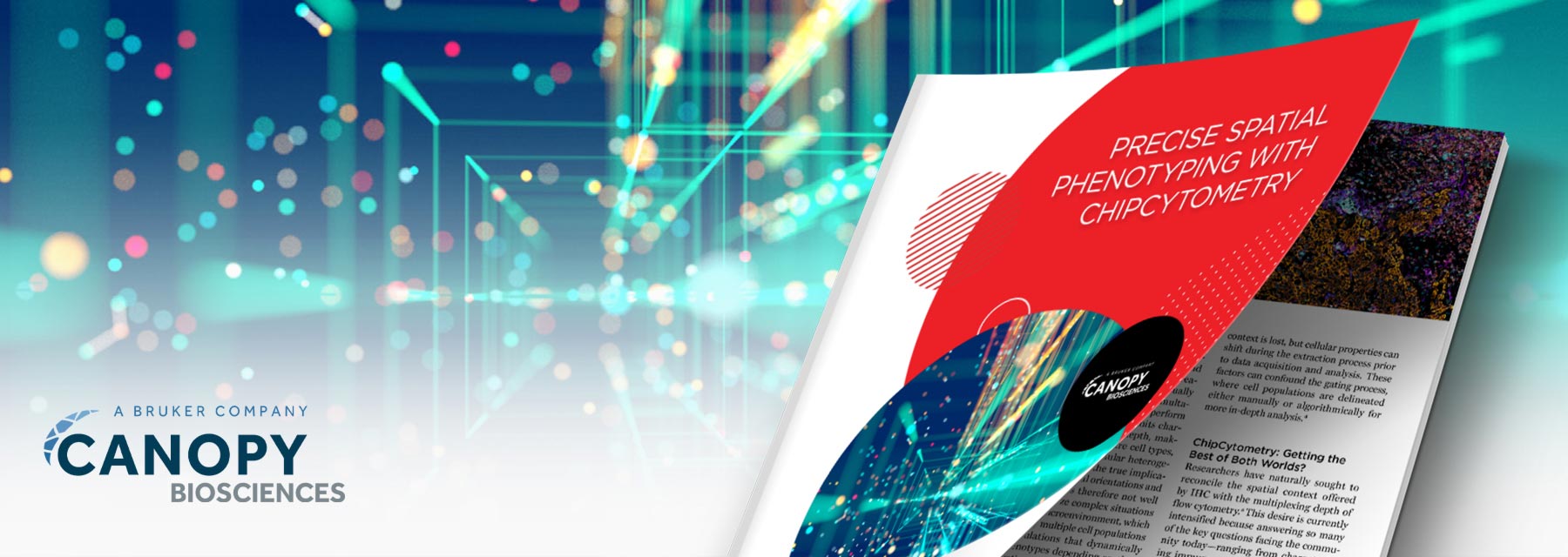 Precise Spatial Phenotyping with ChipCytometry Precise Spatial Phenotyping with ChipCytometry